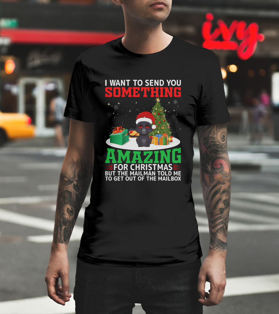 I Want To Send You Something Amazing For Christmas But The Mailman Told Me To Get Out Of The Mailbox T-Shirt