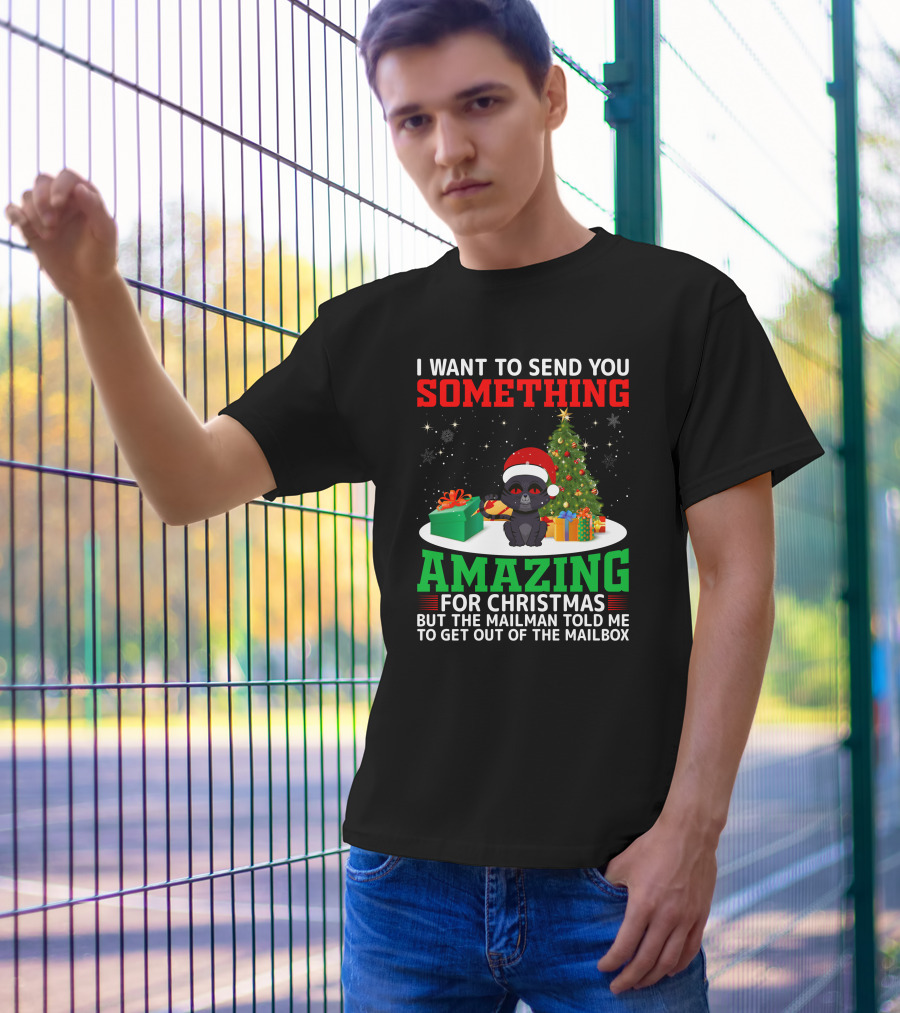 I Want To Send You Something Amazing For Christmas But The Mailman Told Me To Get Out Of The Mailbox T-Shirt