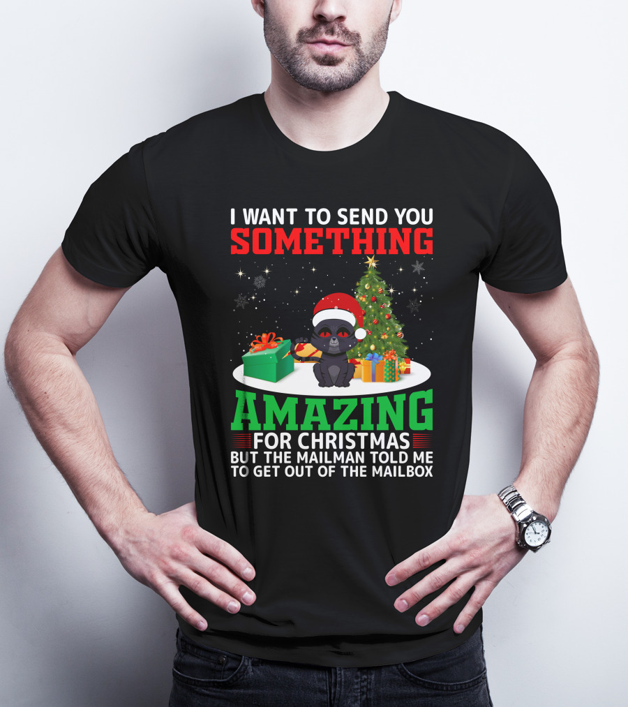 I Want To Send You Something Amazing For Christmas But The Mailman Told Me To Get Out Of The Mailbox T-Shirt
