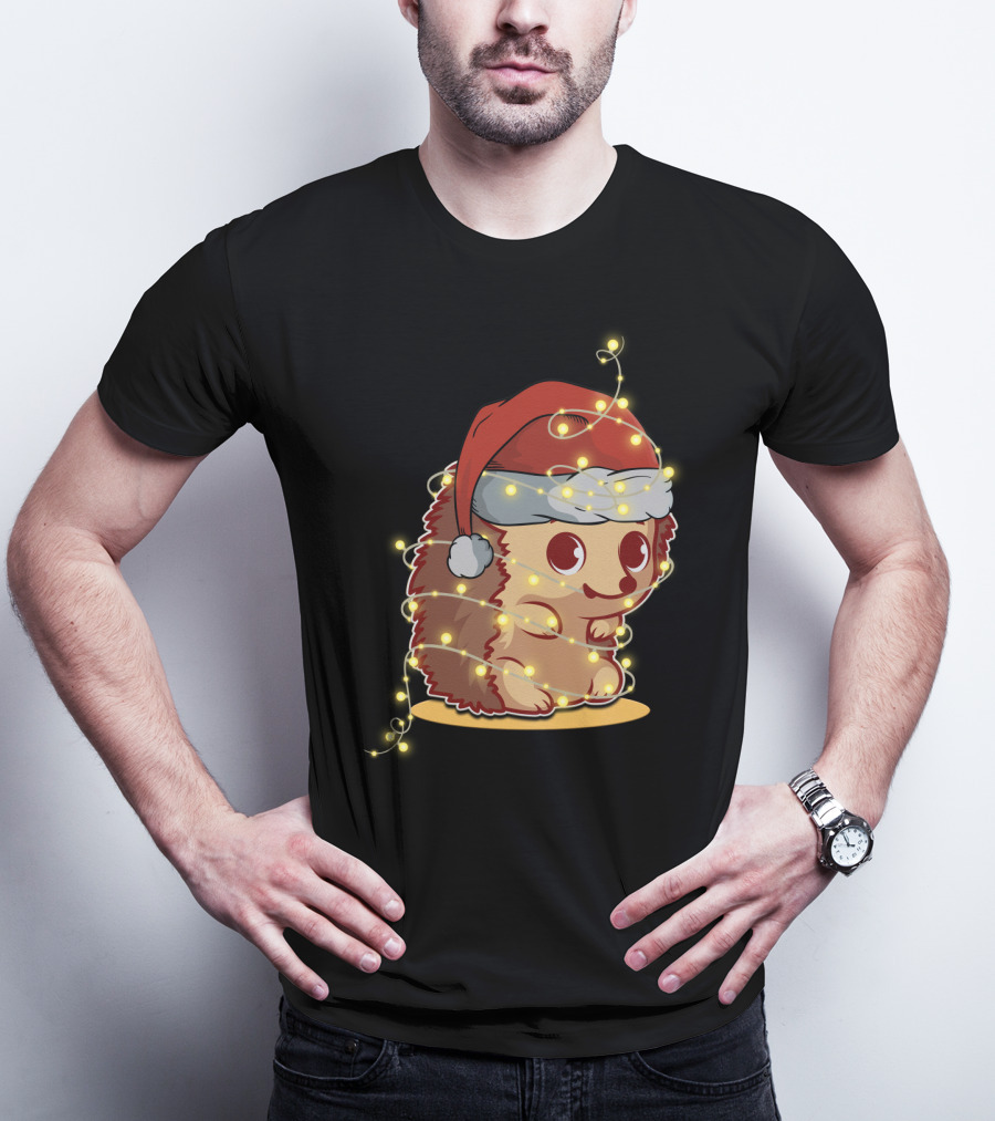 Santa Hat Festive Christmas Lights Hedgehog T-Shirt