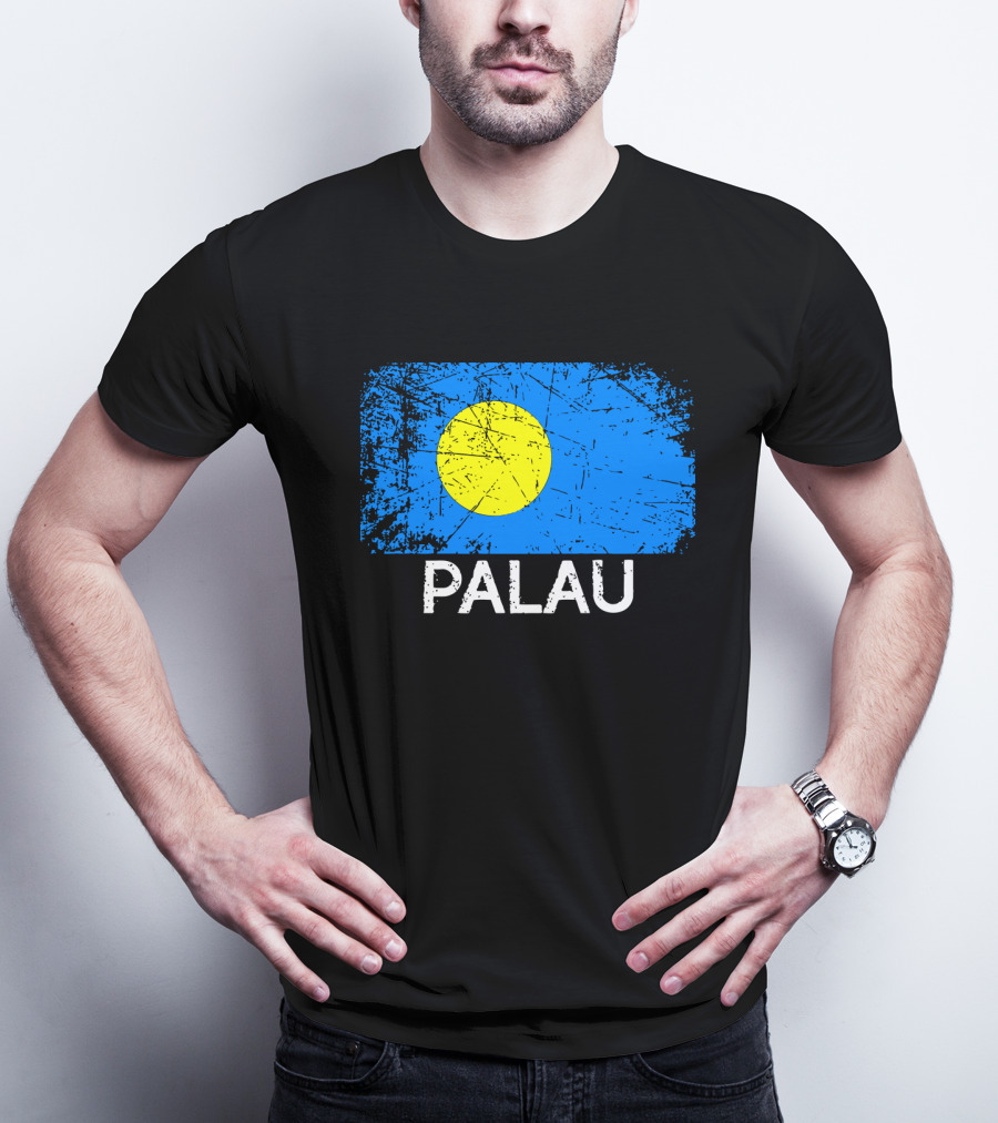 Vintage Palauan Flag Graphic Palau T-Shirt