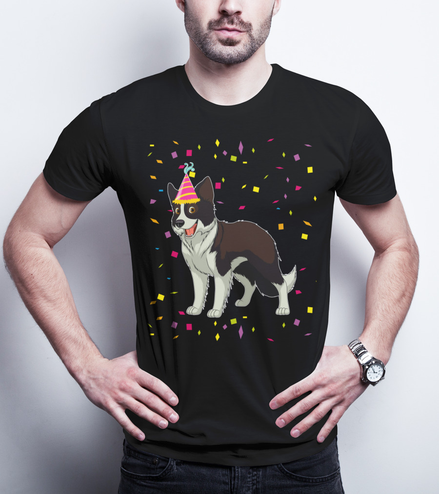 Funny Border Collie Birthday Party Hat Confetti T-Shirt