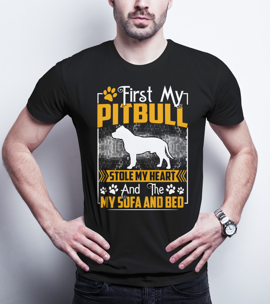 First My Pitbull Stole My Heart And Then My Sofa And Bed T-Shirt