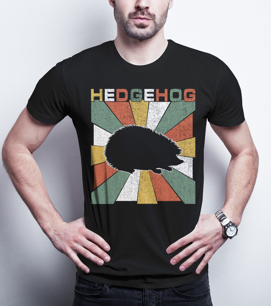 Hedgehog Retro 70s Silhouette Vintage Stripe Burst T-Shirt
