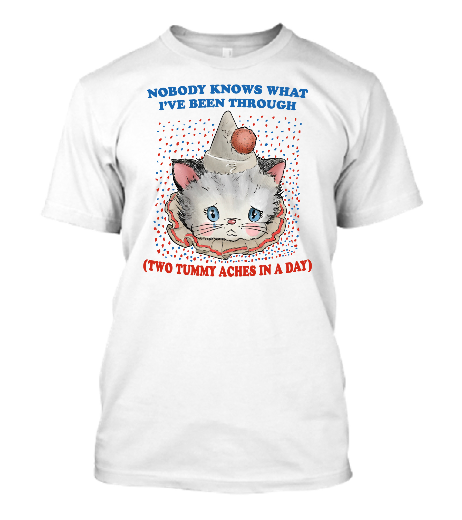 NOBODY KNOWS WHAT I'VE BEEN THROUGH (TWO TUMMY ACHES IN A DAY) CUTE PARTY HAT CAT T-Shirt