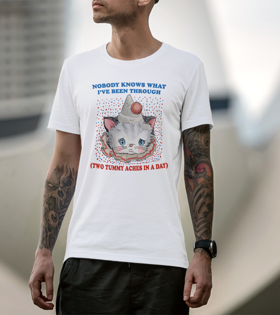 NOBODY KNOWS WHAT I'VE BEEN THROUGH (TWO TUMMY ACHES IN A DAY) CUTE PARTY HAT CAT T-Shirt
