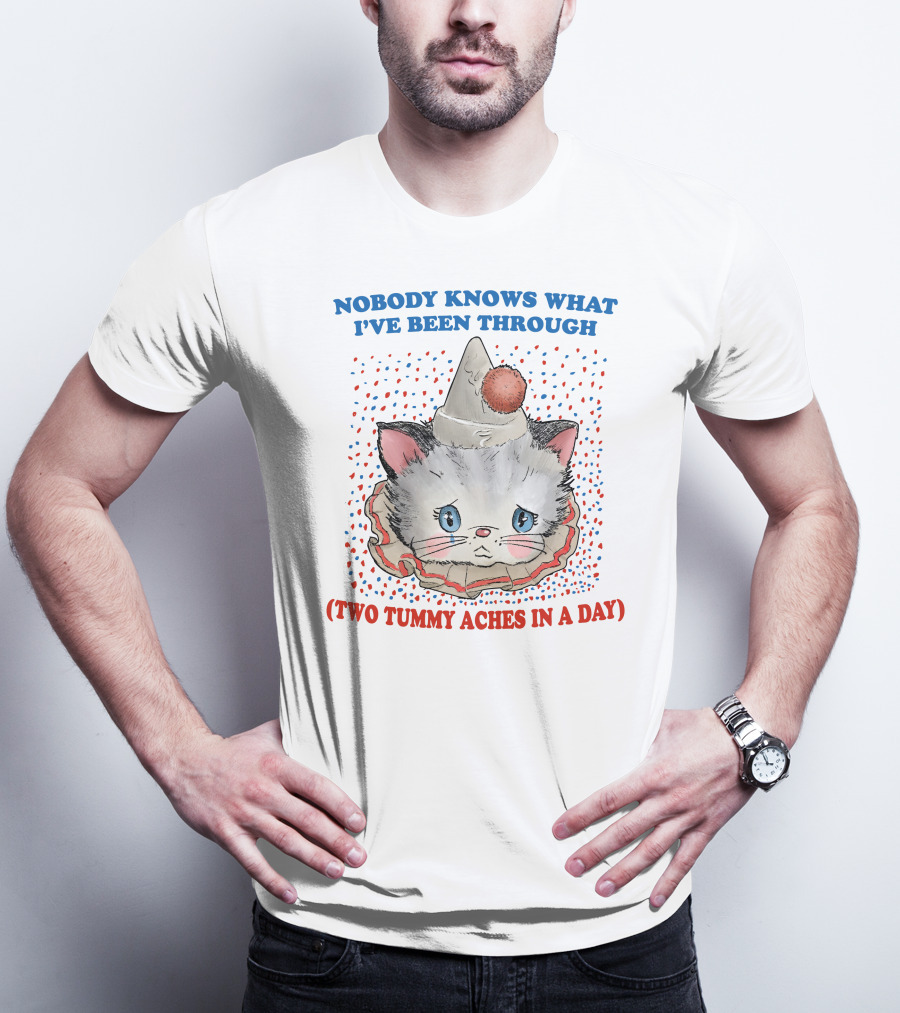 NOBODY KNOWS WHAT I'VE BEEN THROUGH (TWO TUMMY ACHES IN A DAY) CUTE PARTY HAT CAT T-Shirt