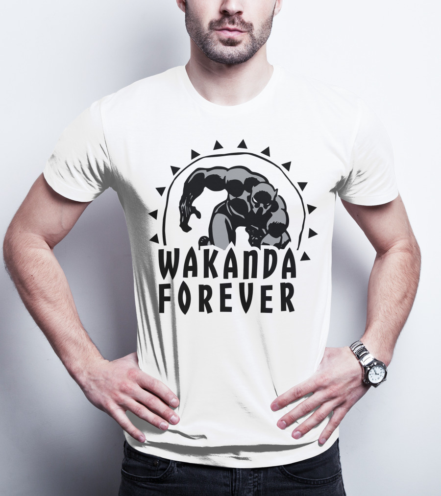Marvel Black Panther Wakanda Forever Sun Triangles Hero Pose T-Shirt