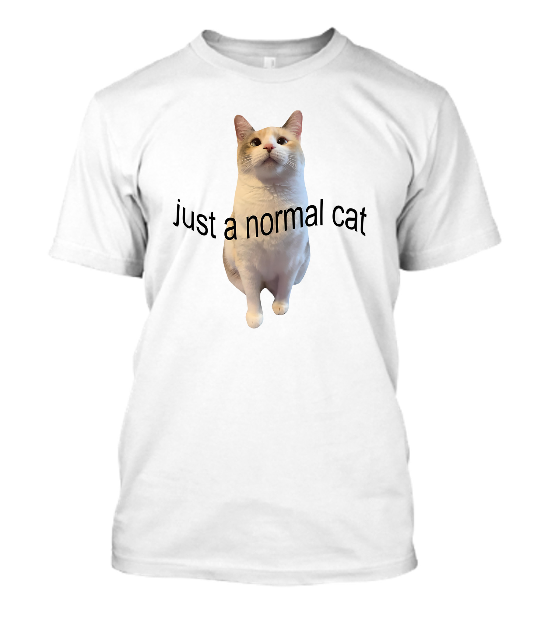 Just A Normal Cat T-Shirt