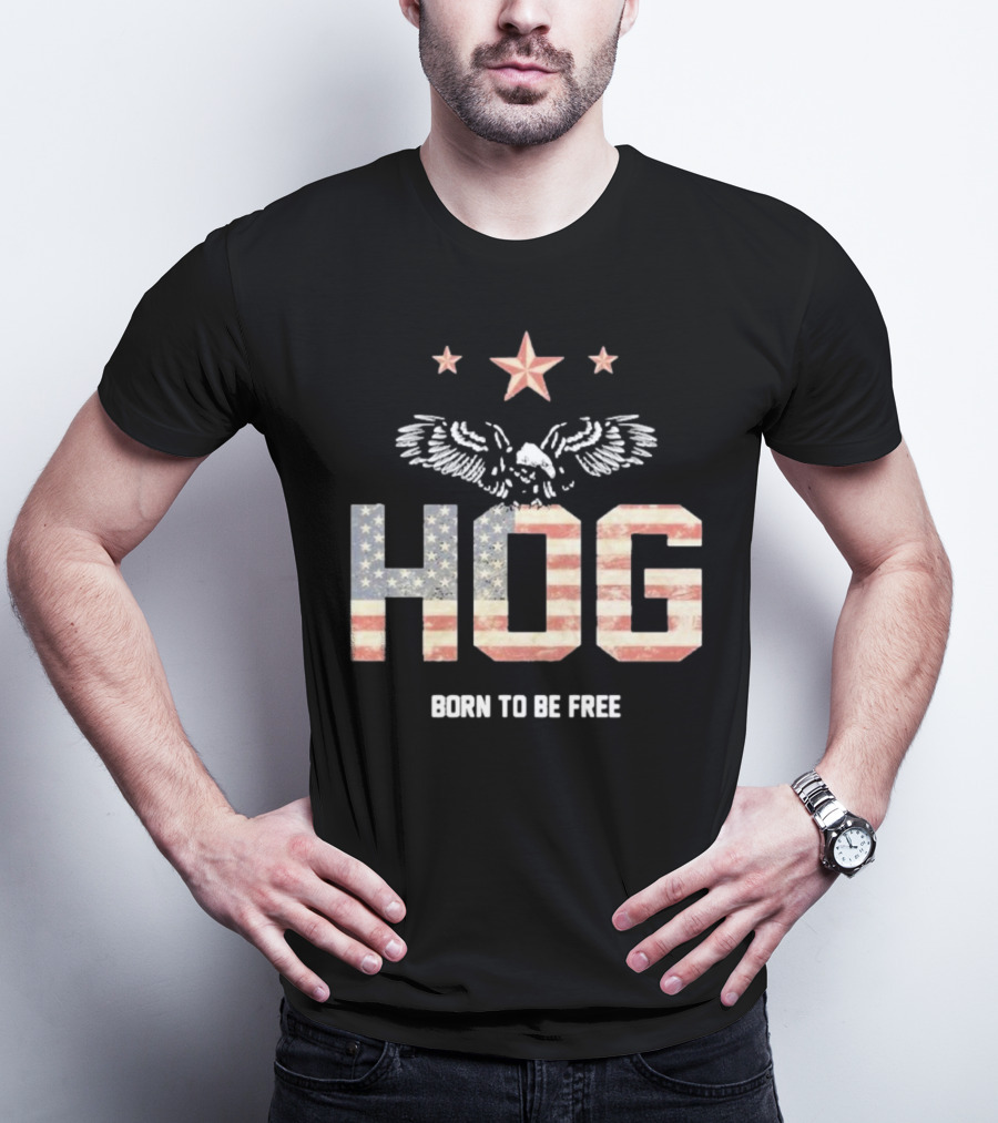 Hog Born To Be Free American Flag Eagle Stars T-Shirt