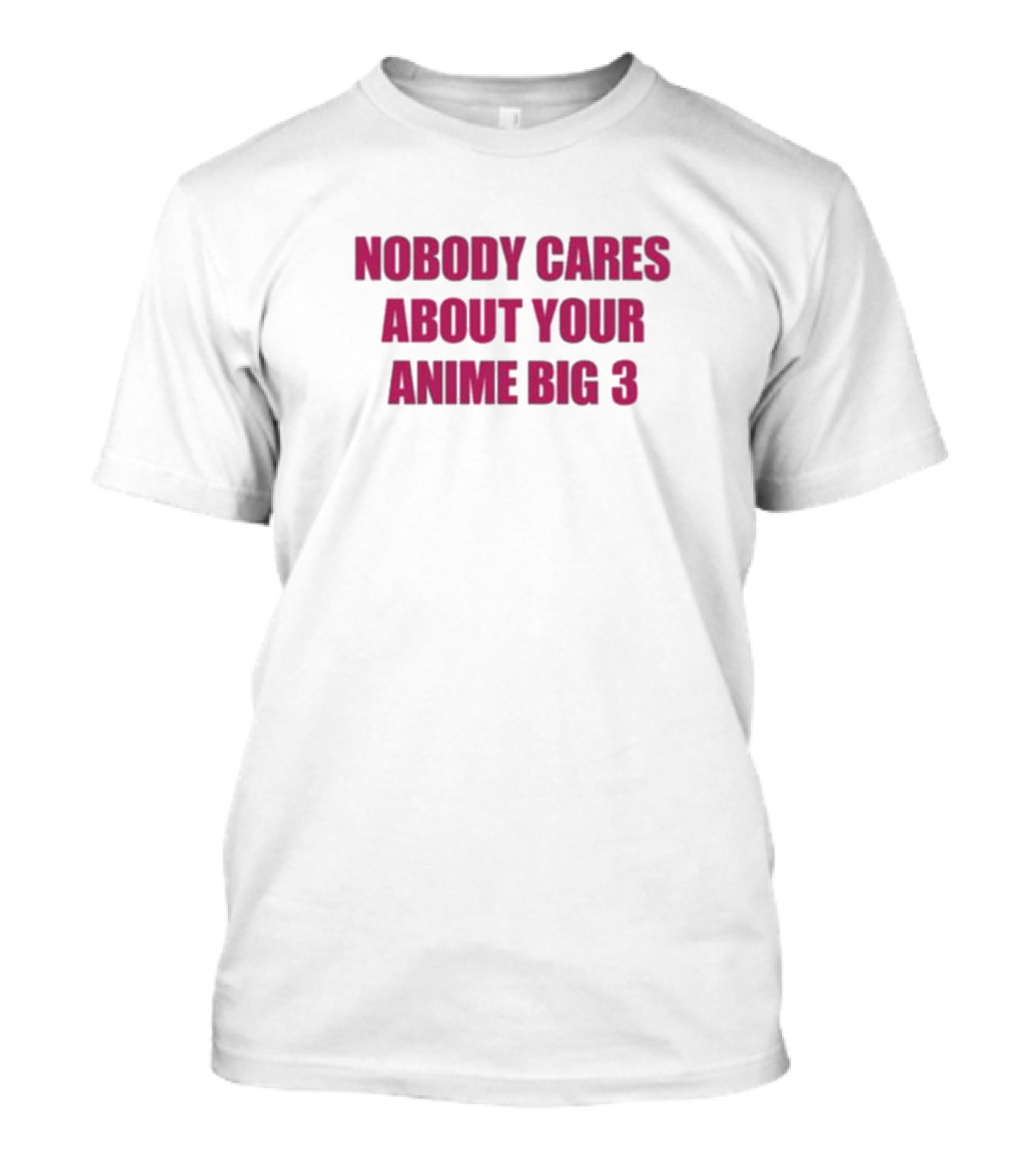 Nobody Cares About Your Anime Big 3 T-Shirt