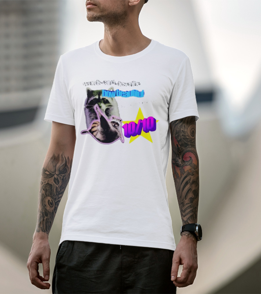 Words Can't Describe How Beautiful I Am But Numbers Can 10/10 Raccoon Star T-Shirt