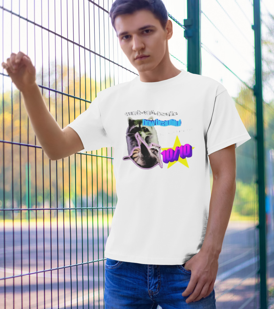 Words Can't Describe How Beautiful I Am But Numbers Can 10/10 Raccoon Star T-Shirt