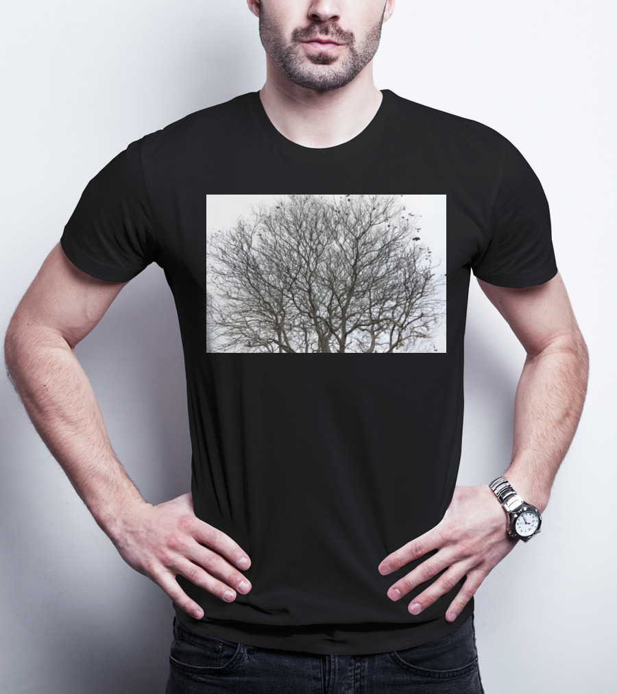 Winters Tracery Bare Tree Branches In Overcast Grey Sky T-Shirt