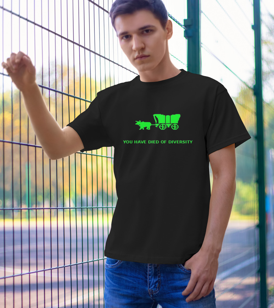 You Have Died Of Diversity Oregon Trail Pixel T-Shirt