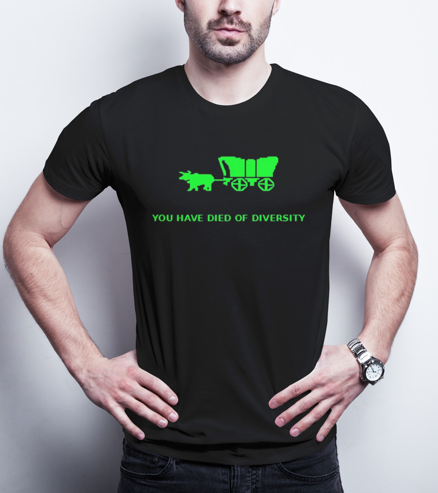 You Have Died Of Diversity Oregon Trail Pixel T-Shirt