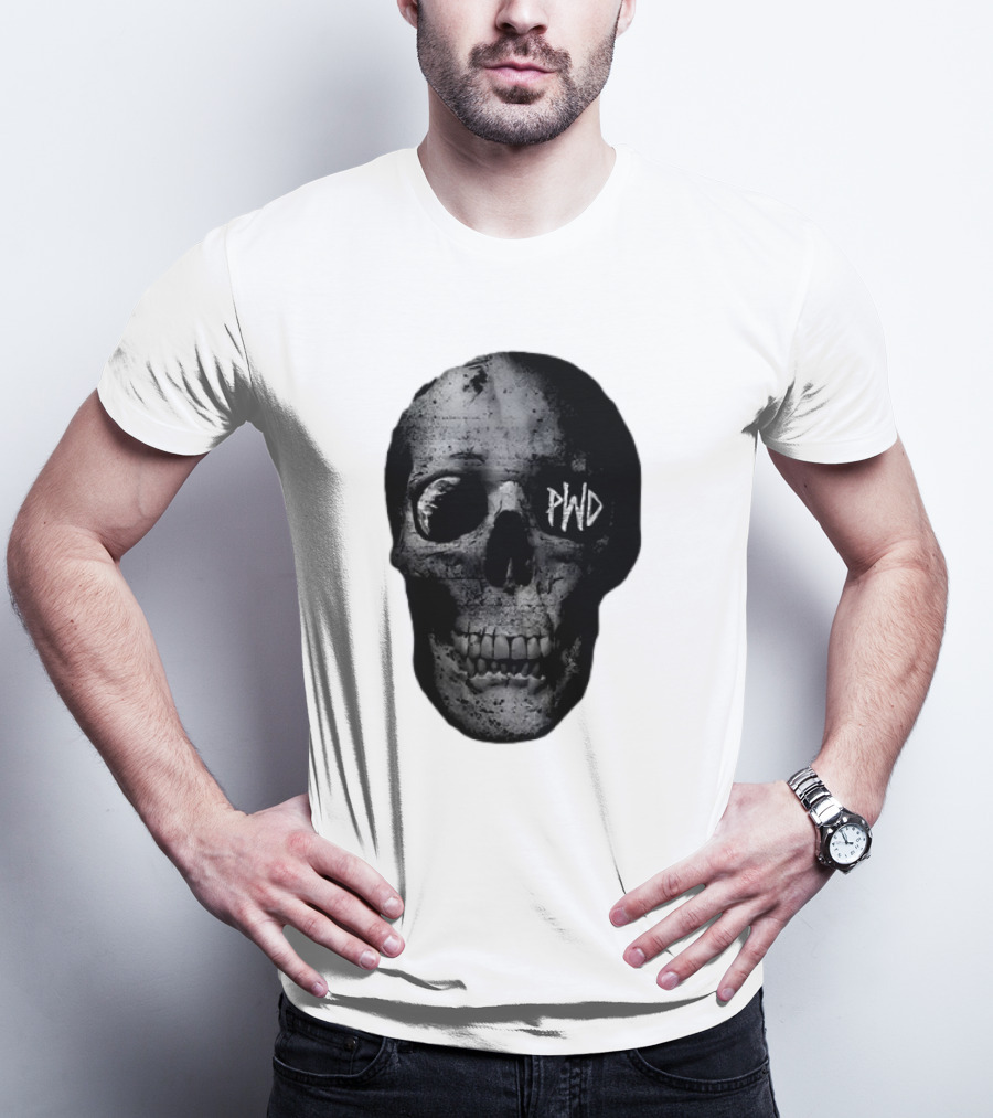 PWD Parkway Drive Dark Days 2012 Atlas Skull Image T-Shirt