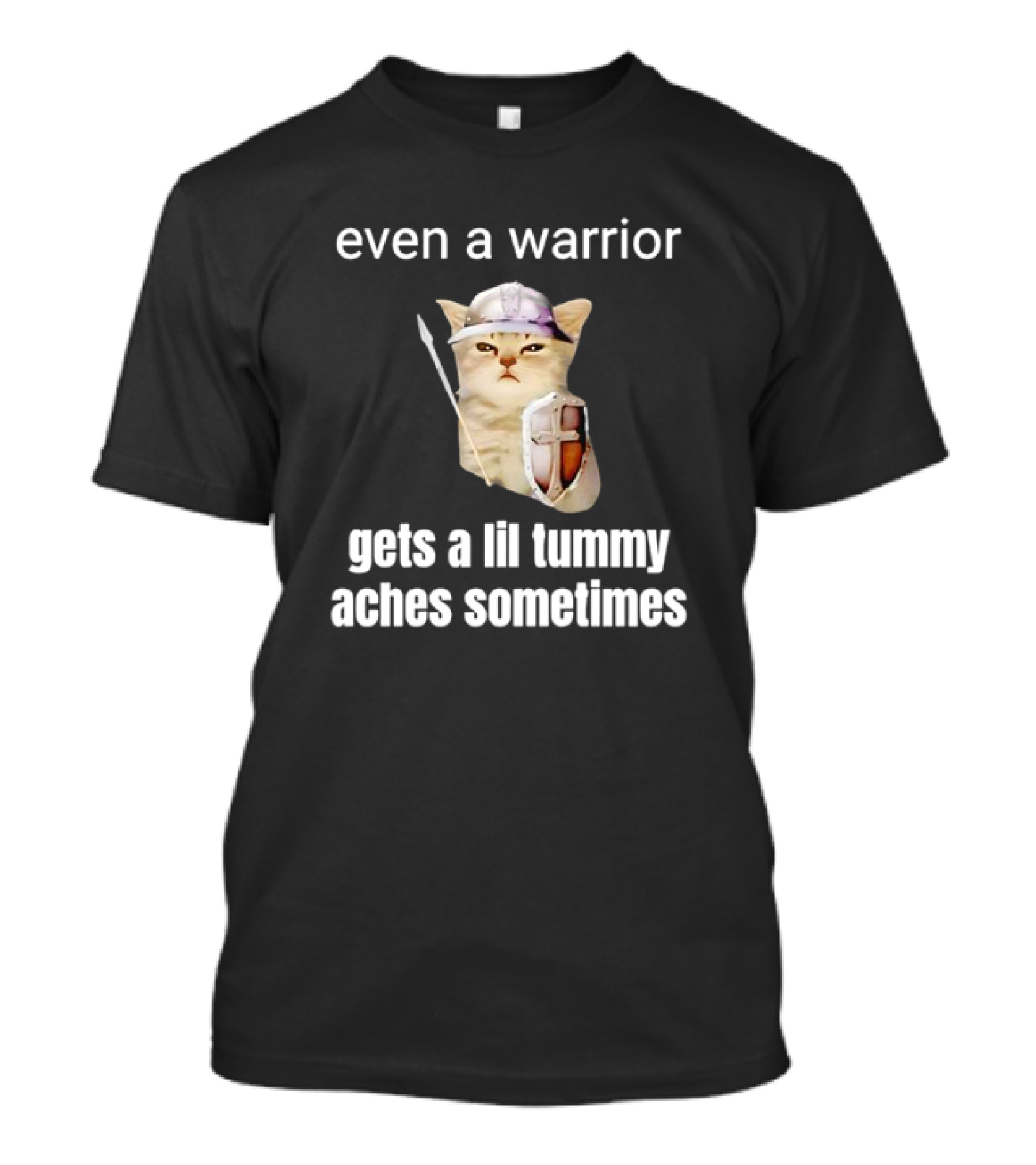 Even A Warrior Cat Gets A Lil Tummy Aches Sometimes T-Shirt