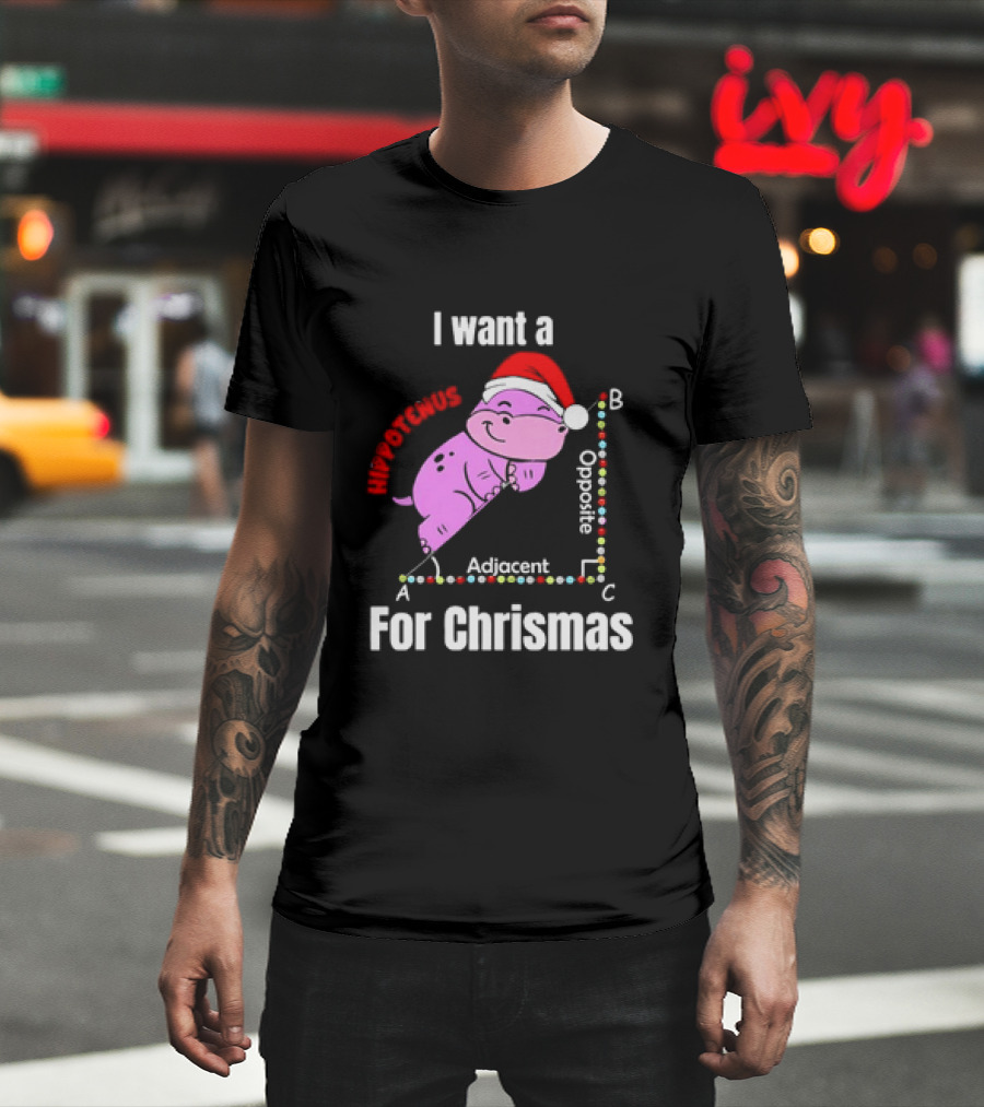 I Want A Hippotenuse ABC Adjacent Opposite For Christmas Cute Hippo T-Shirt