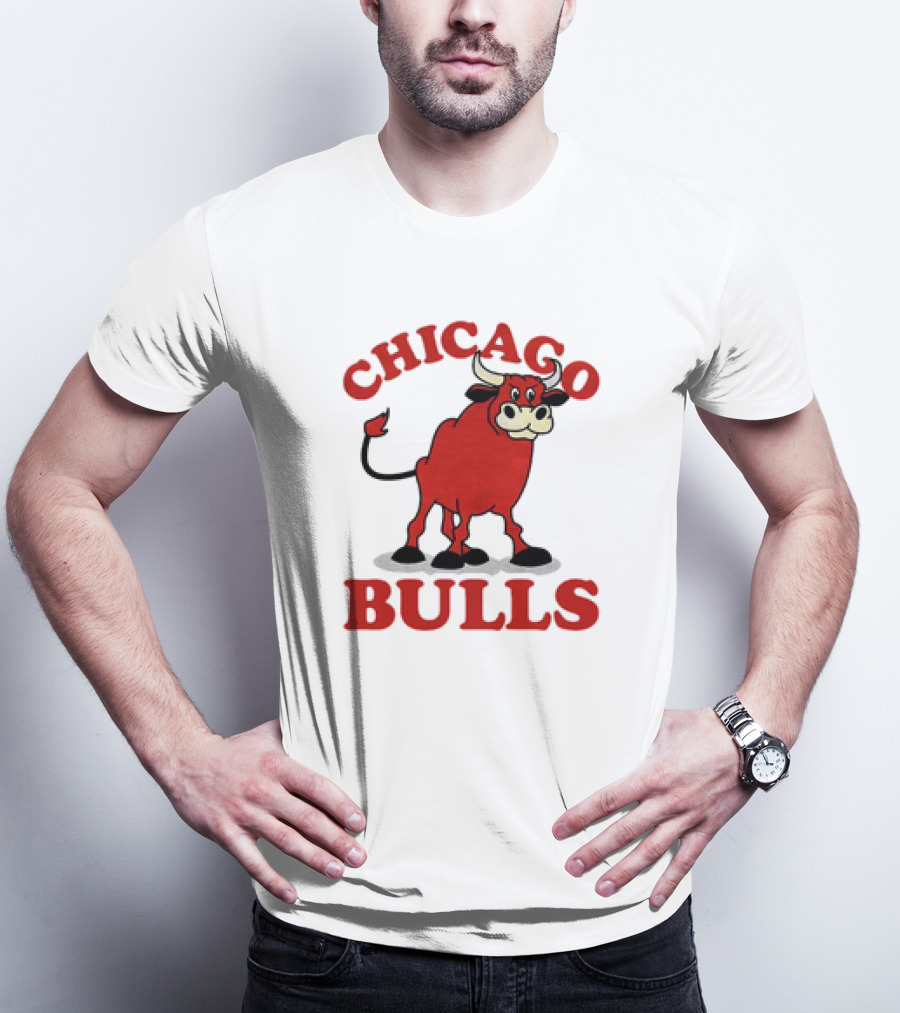 Retro Vintage Chicago Bulls Classic Iconic Bull Image T-Shirt