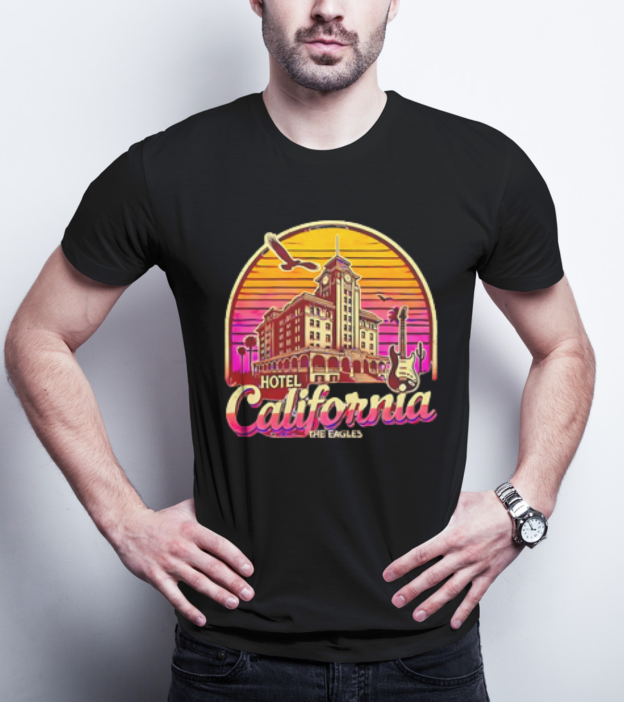 Hotel California The Eagles Sunset Art Deco Guitar And Seagulls T-Shirt