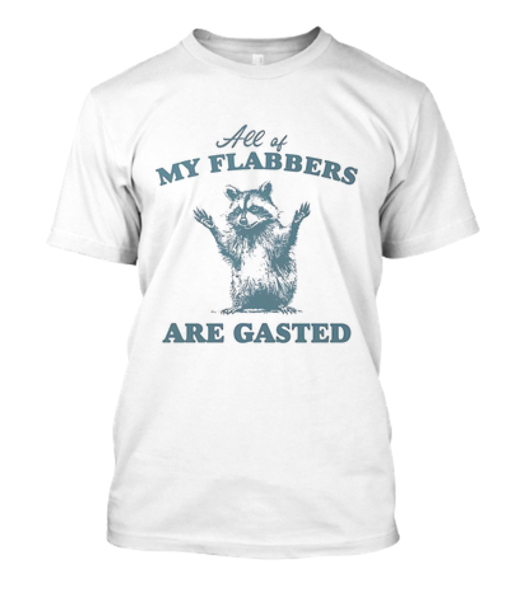 All Of My Flabbers Are Gasted Raccoon T-Shirt
