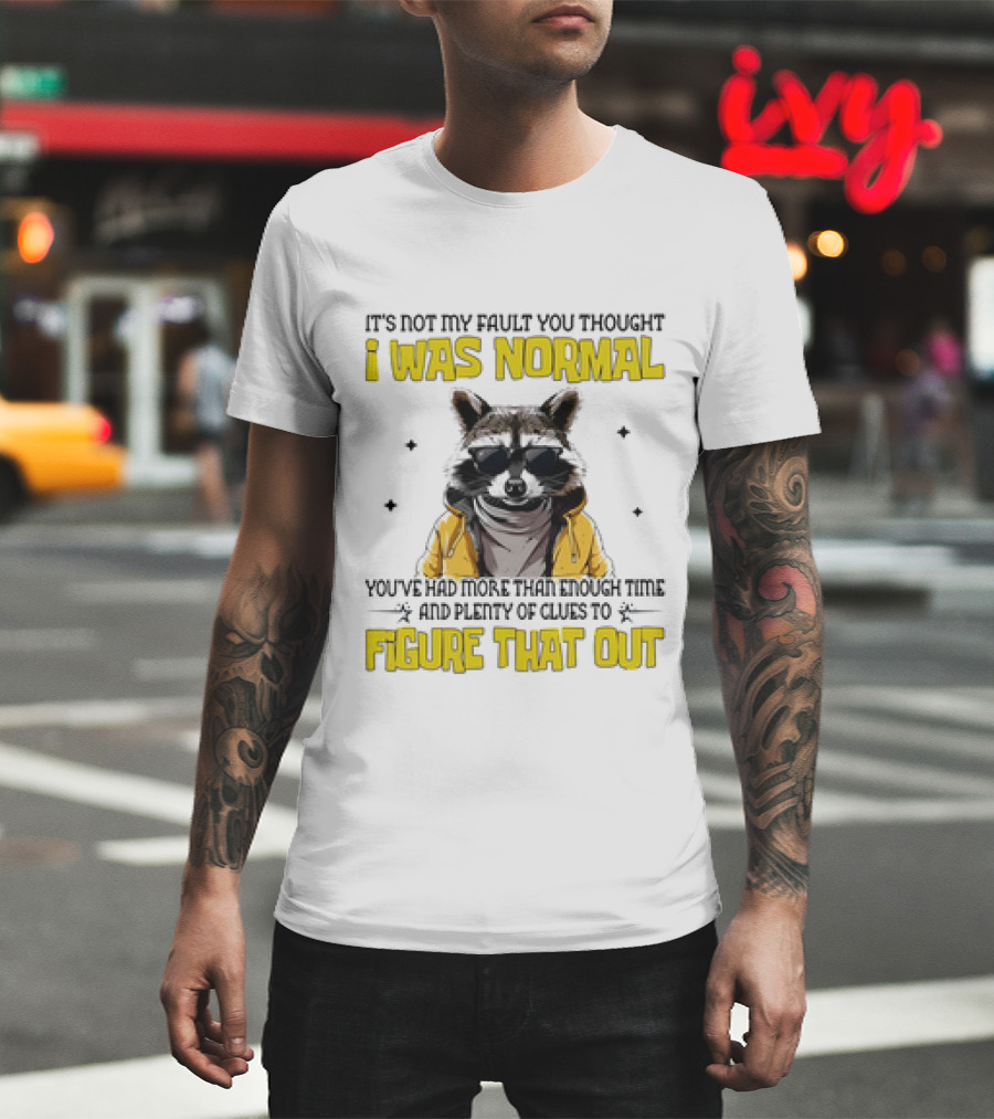 Raccoon It's Not My Fault You Thought I Was Normal You've Had More Than Enough Time And Plenty Of Clues To Figure That Out T-Shirt