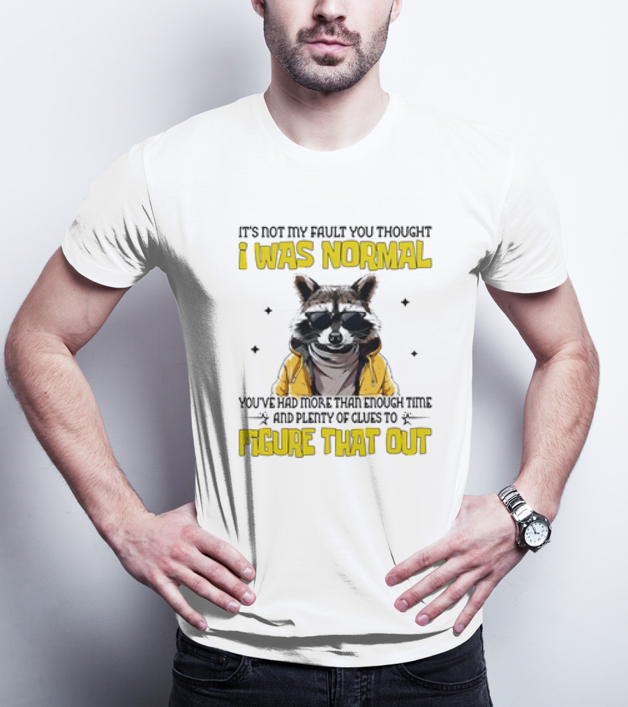 Raccoon It's Not My Fault You Thought I Was Normal You've Had More Than Enough Time And Plenty Of Clues To Figure That Out T-Shirt