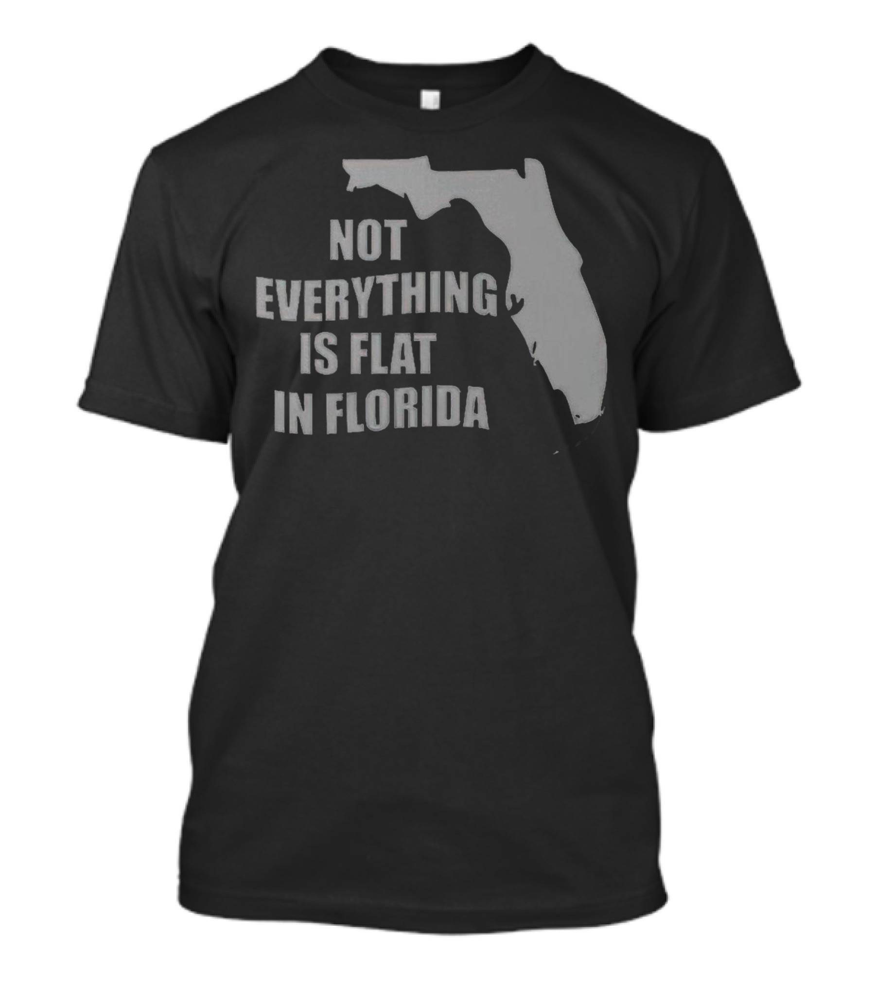 Not Everything Is Flat In Florida State Outline T-Shirt
