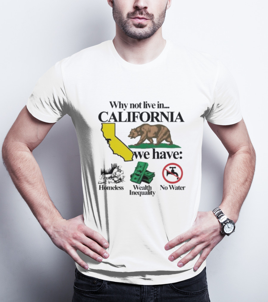 Why Not Live In California We Have Homeless Bear Wealth Inequality No Water T-Shirt