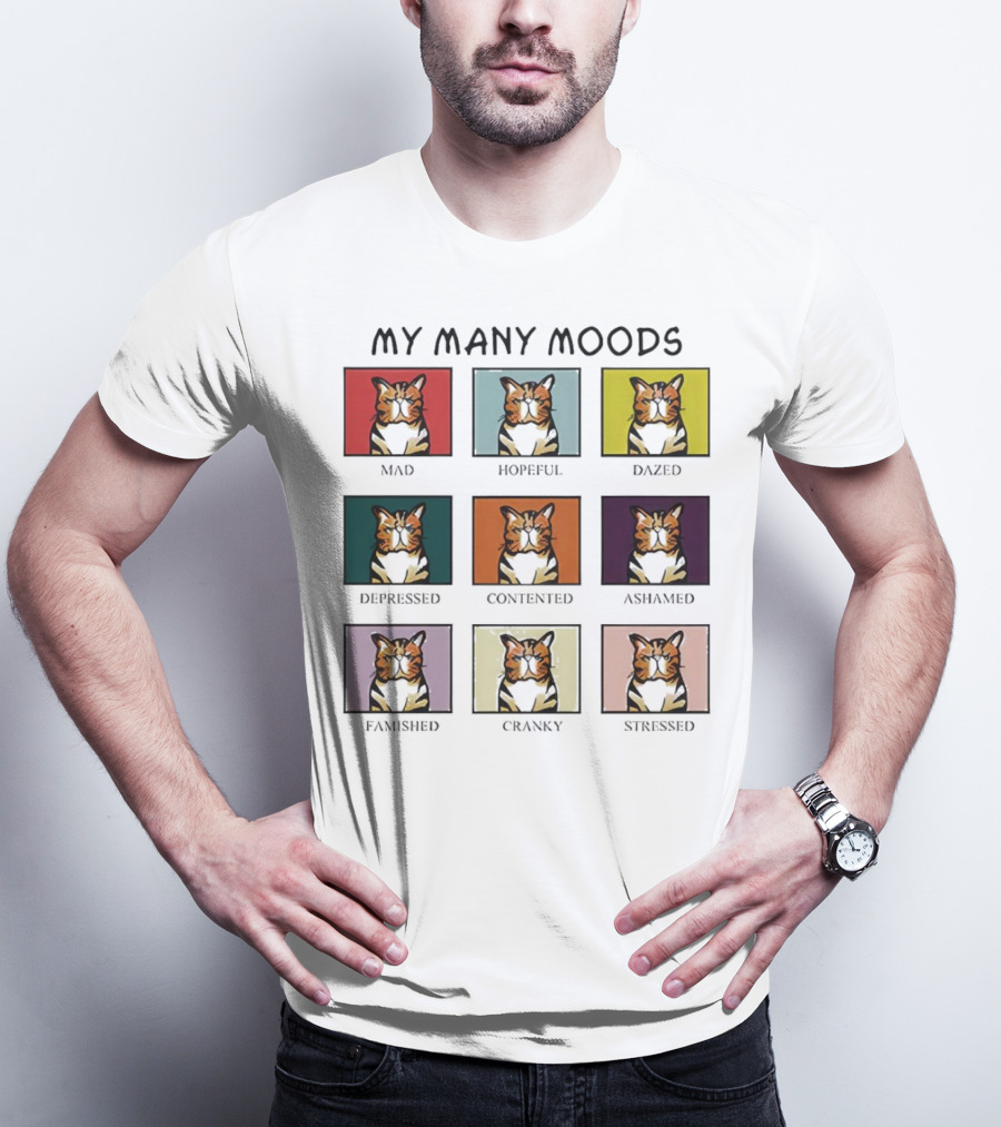 My Many Moods Mad Hopeful Dazed Depressed Contented Ashamed Famished Cranky Stressed T-Shirt