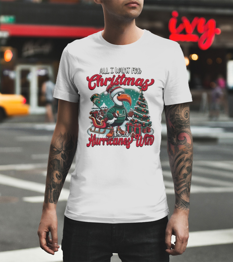 All I Want For Christmas Is A Hurricanes Win Santa Birdfest T-Shirt
