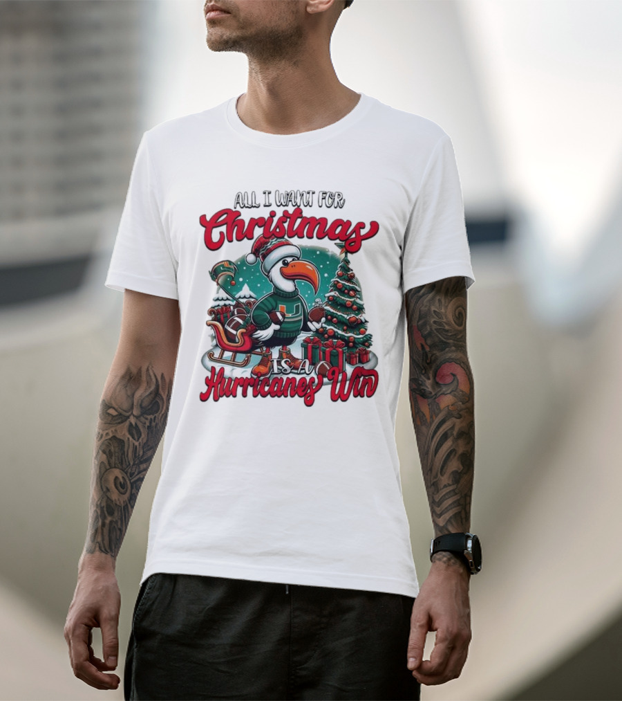 All I Want For Christmas Is A Hurricanes Win Santa Birdfest T-Shirt