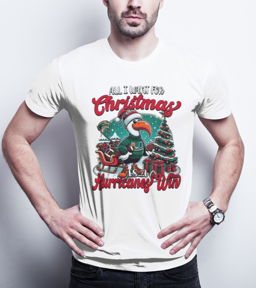 All I Want For Christmas Is A Hurricanes Win Santa Birdfest T-Shirt