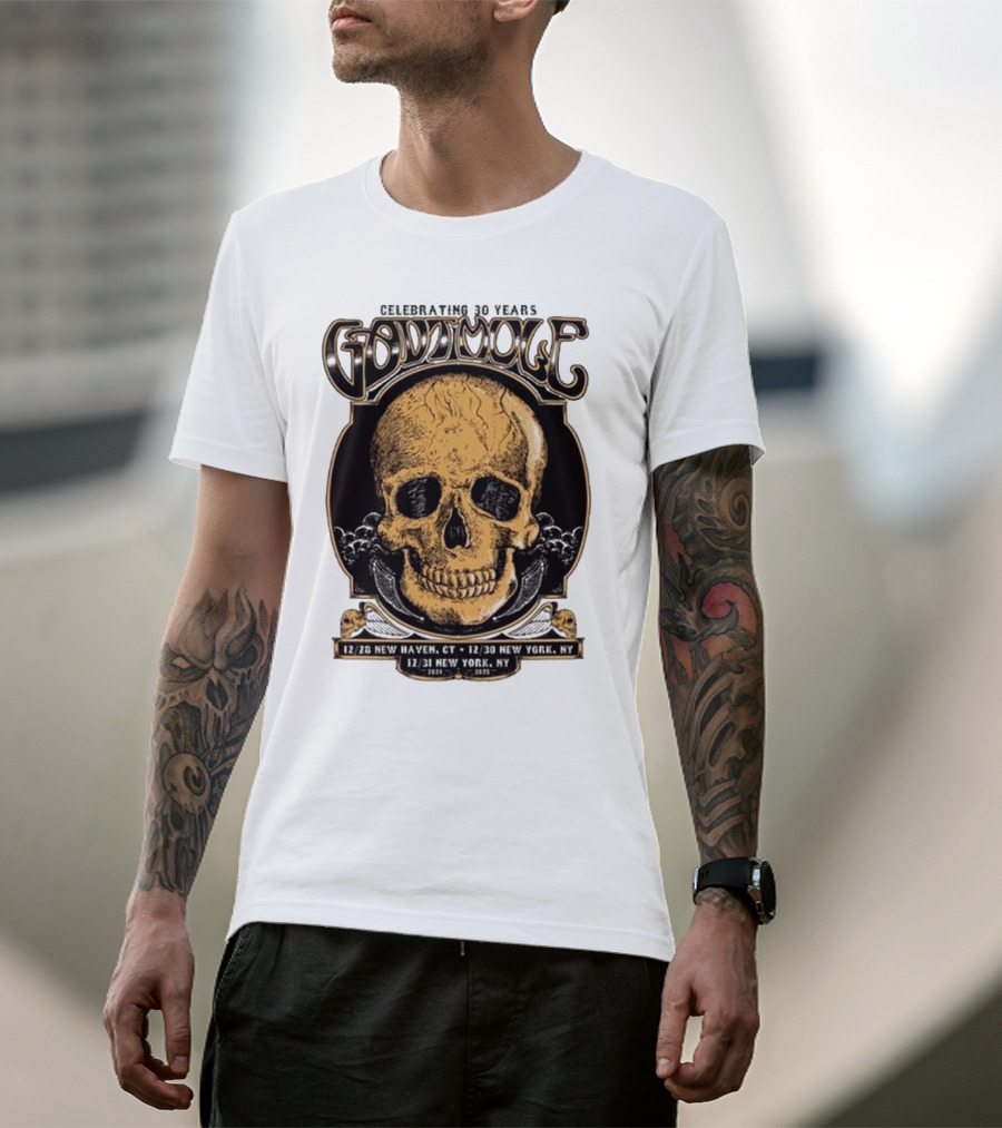 Celebrating 30 Years Gov’t Mule Skull Design Dec 28 New Haven CT Dec 30-31 New York NY T-Shirt