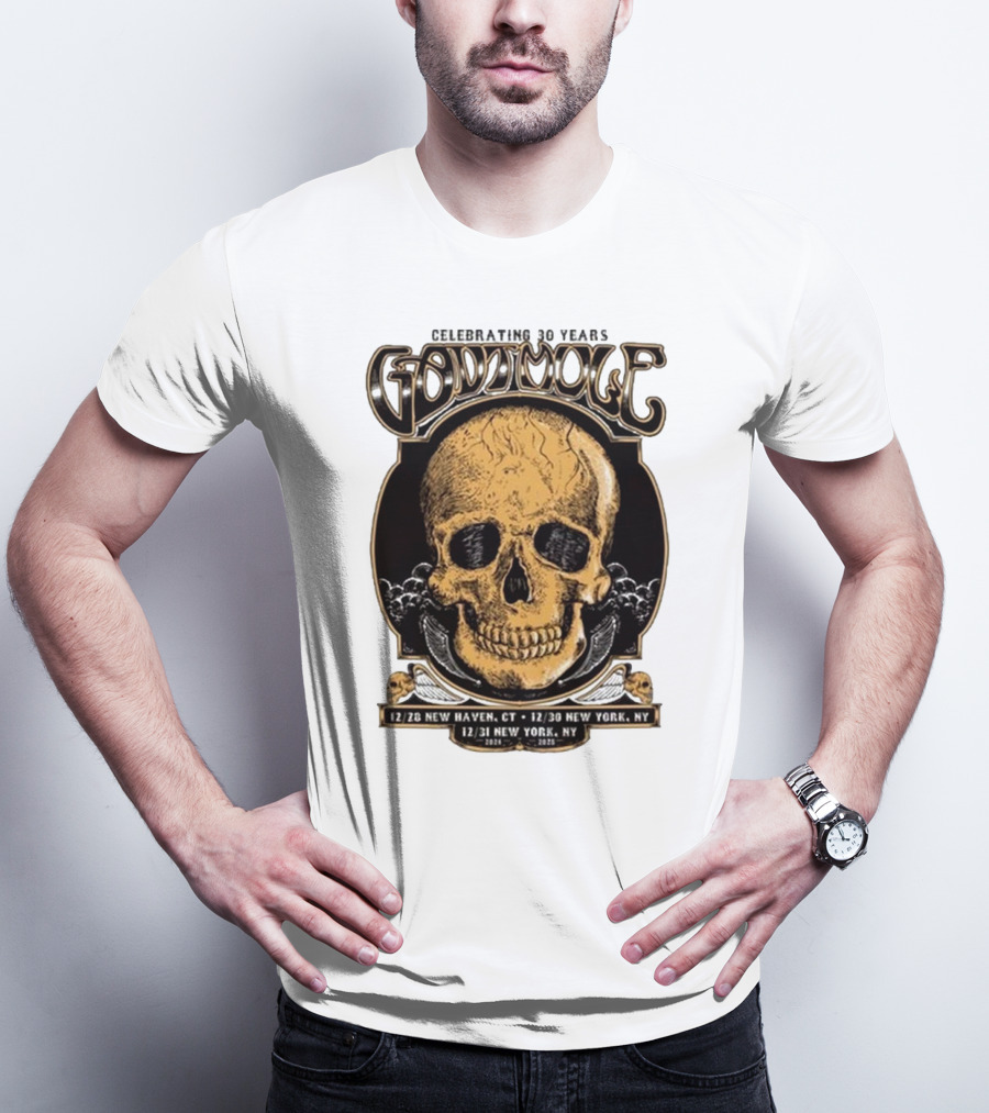 Celebrating 30 Years Gov’t Mule Skull Design Dec 28 New Haven CT Dec 30-31 New York NY T-Shirt