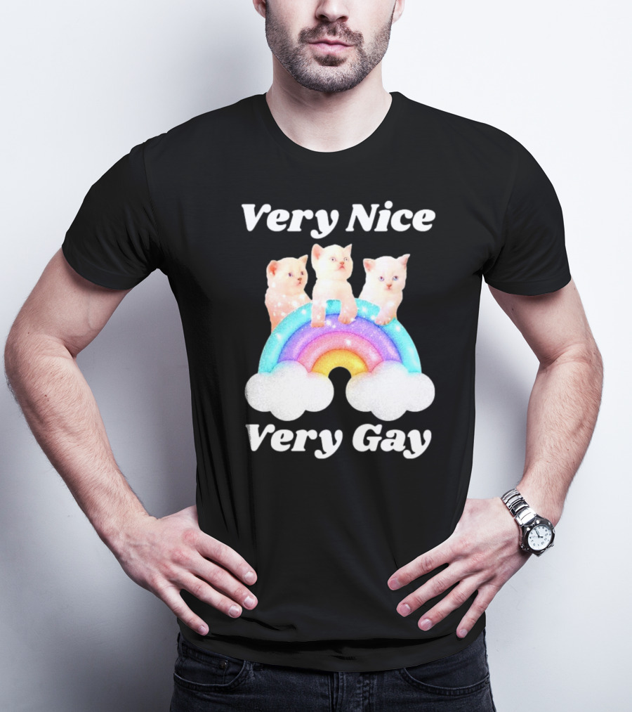 Very Nice Very Gay Cats On Rainbow T-Shirt