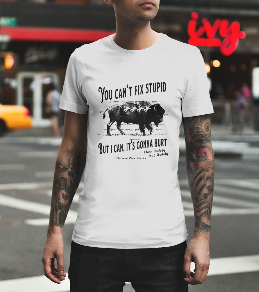 You Can't Fix Stupid But I Can, It's Gonna Hurt Think Safety Act Safely National Park Service T-Shirt