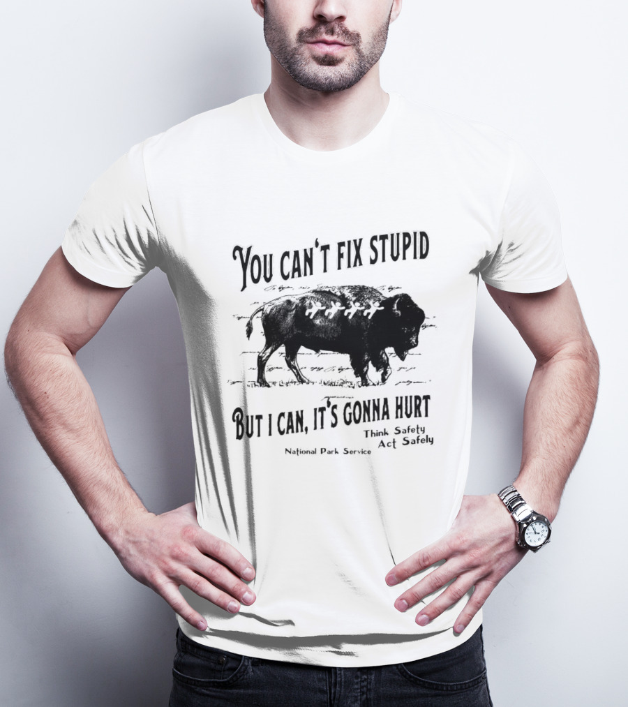 You Can't Fix Stupid But I Can, It's Gonna Hurt Think Safety Act Safely National Park Service T-Shirt