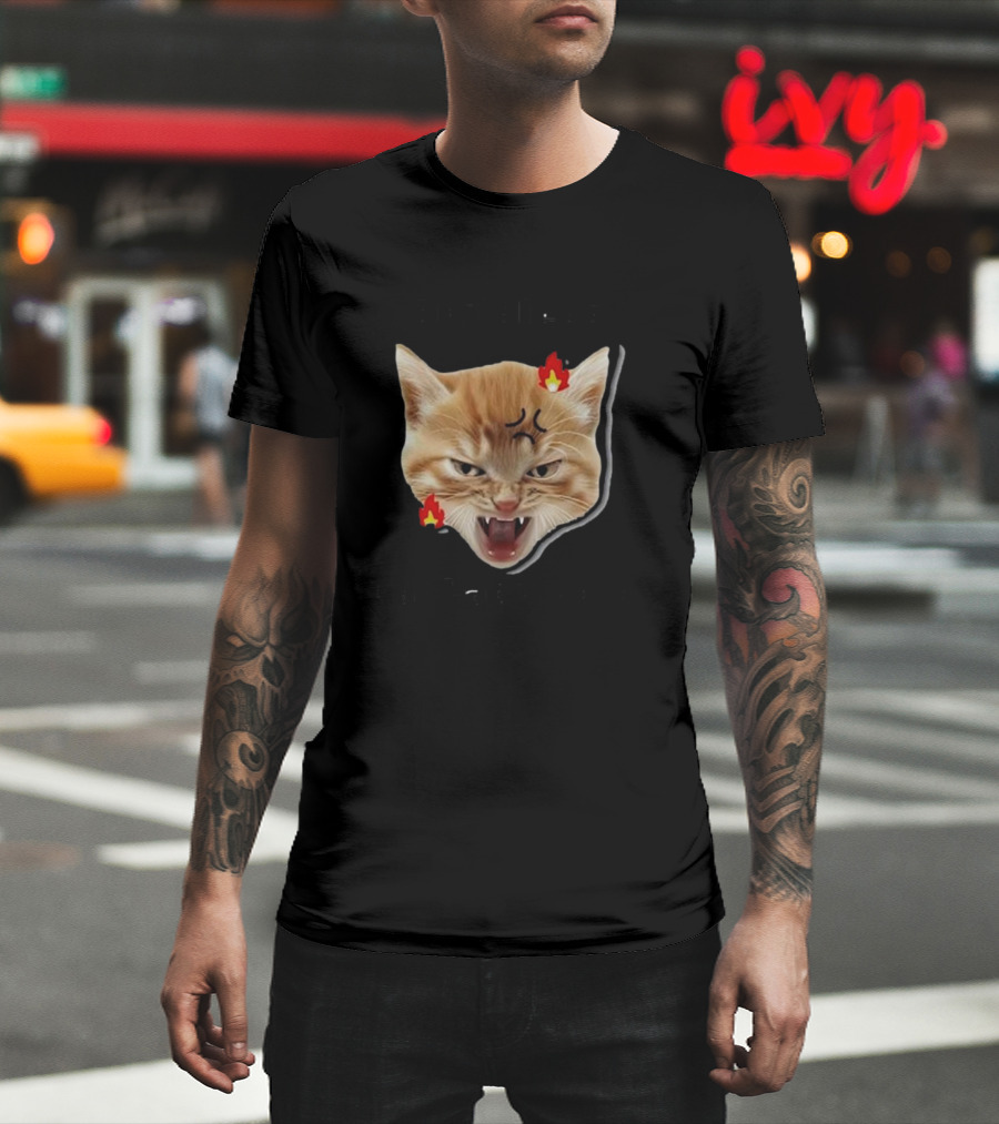 Childless Angry Cat Lady Voter Flame Emoji T-Shirt