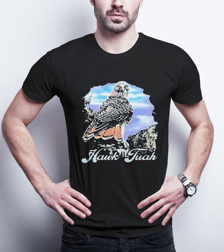 Hawk Tuah Scenic 70s Vintage Style Bird T-Shirt