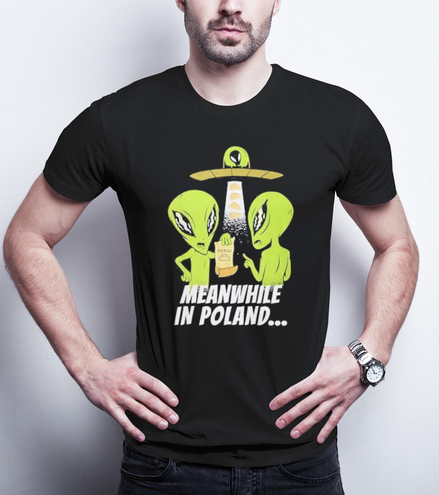 Meanwhile In Poland Alien Abduction Pierogi T-Shirt