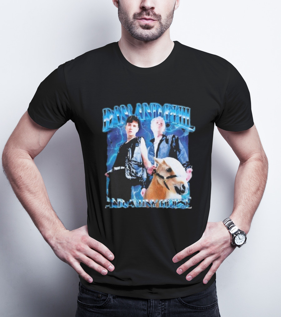 Dan And Phil And A Tiny Horse T-Shirt