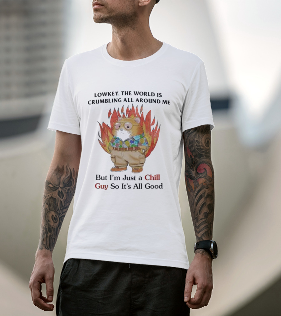 Chill Guy With World Crumbling Fire Background T-Shirt