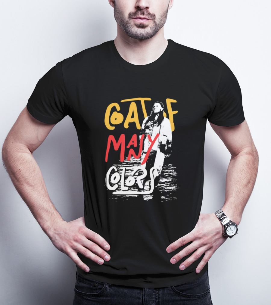 Brandon Lake Coat Of Many Colors T-Shirt