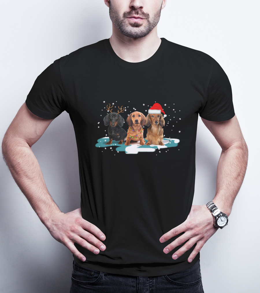 Dachshund Christmas Trio With Antlers And Santa Hat In Snowy Scene T-Shirt