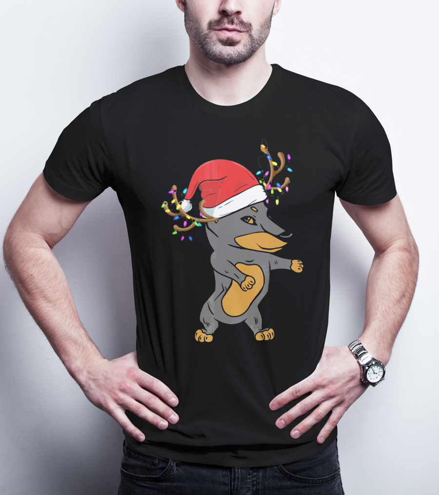 Christmas Doberman Santa Hat Reindeer Antlers Lights Dog Lovers T-Shirt