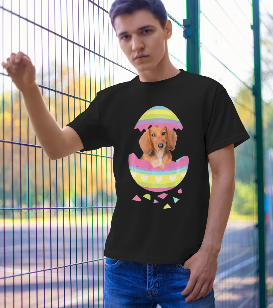 Dachshund In Colorful Easter Egg With Heart Stripes T-Shirt
