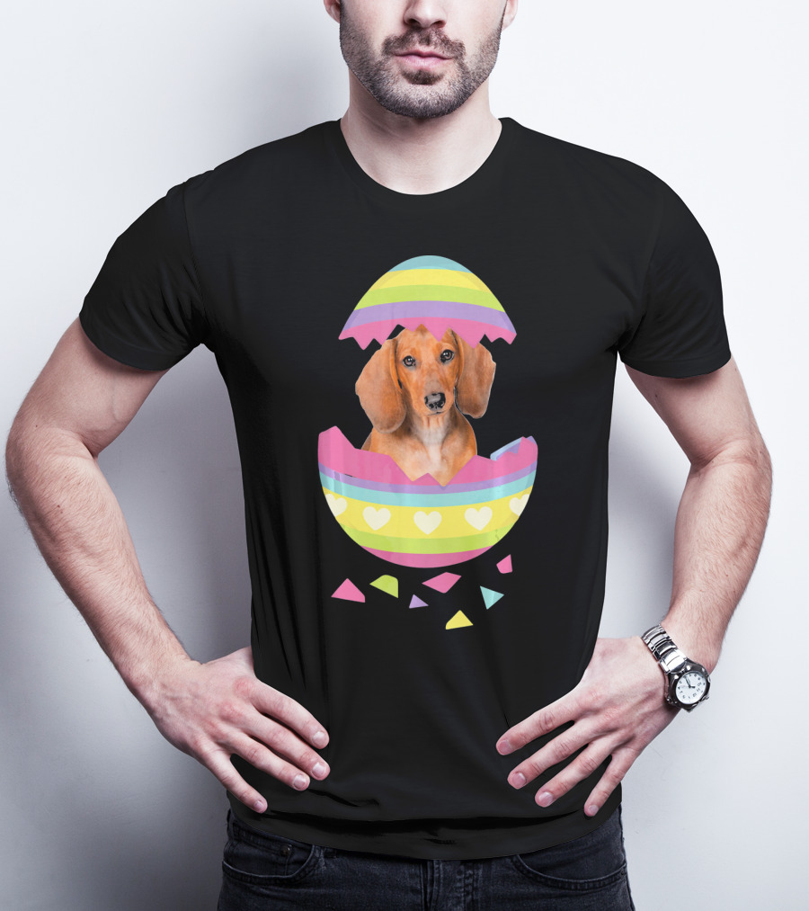 Dachshund In Colorful Easter Egg With Heart Stripes T-Shirt