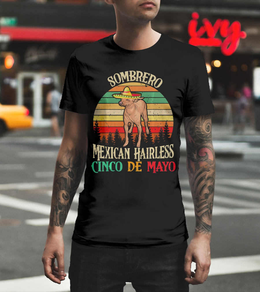 Sombrero Mexican Hairless Cinco De Mayo Vintage Sunset T-Shirt
